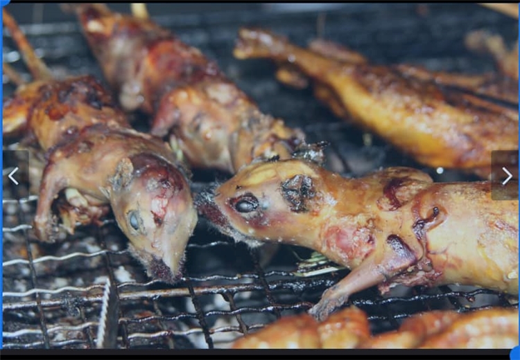 Người New York ăn heo sữa quay, không phải, đó là chuột quay - Hoa Kỳ ...